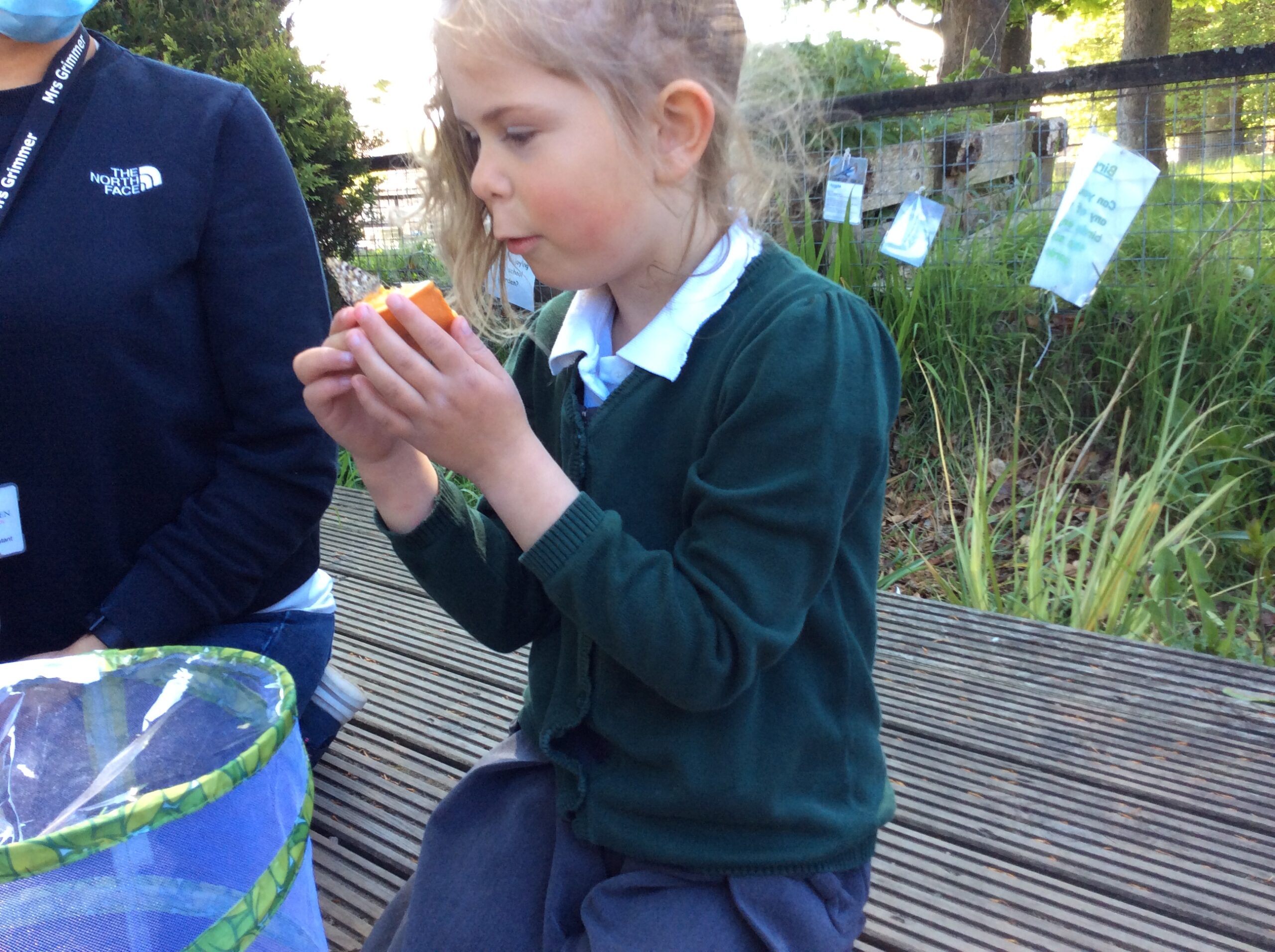 Outdoor learning in Room 3 – Cornhill Primary School