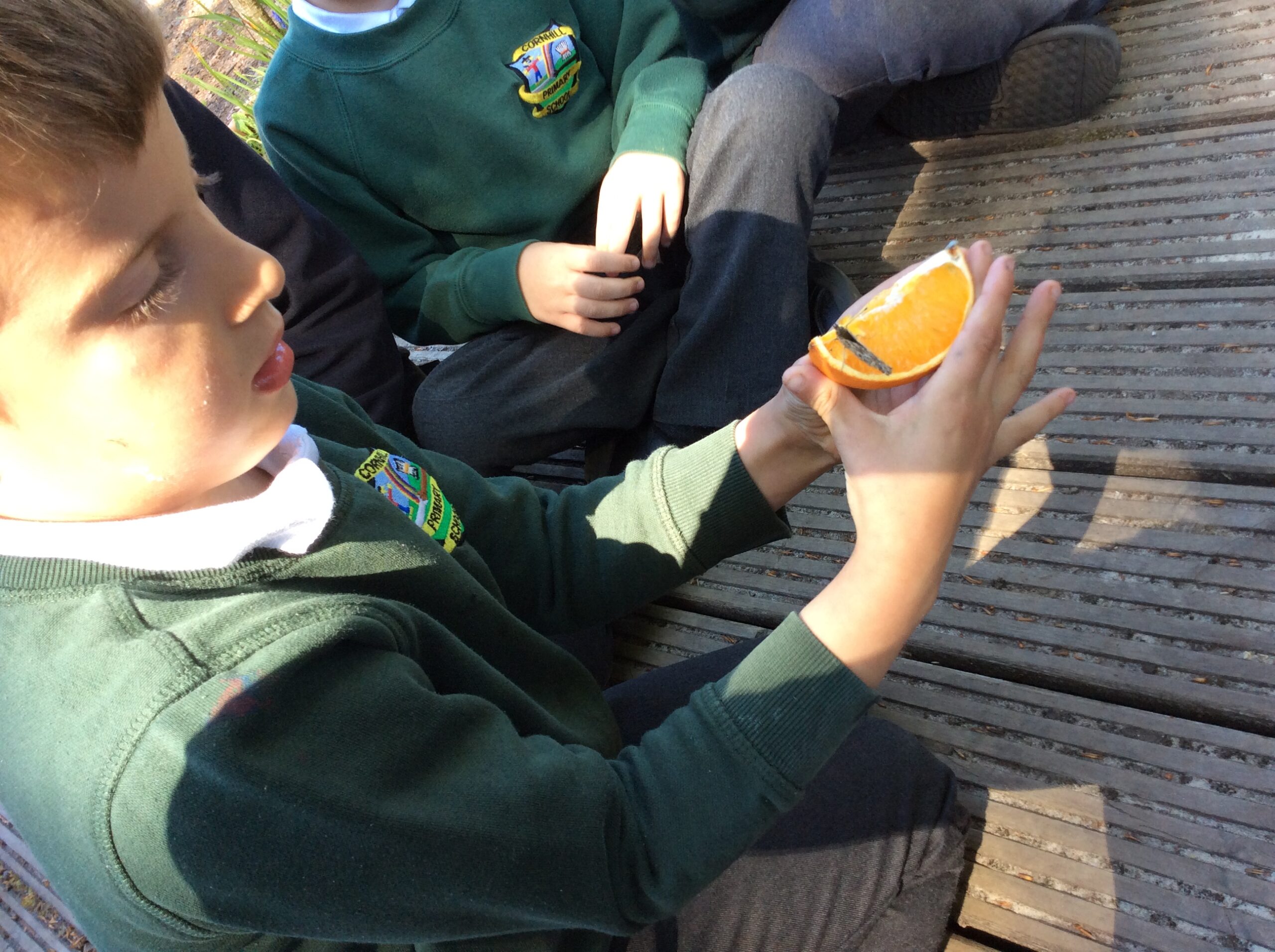 Outdoor learning in Room 3 – Cornhill Primary School